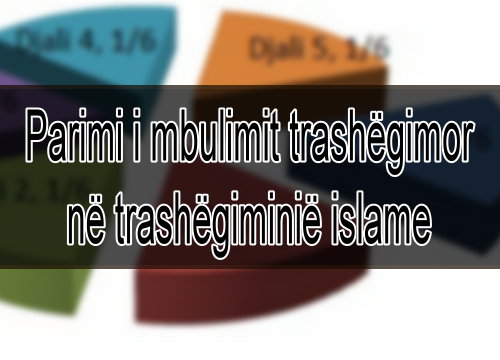 Parimi i mbulimit trashëgimor në trashëgiminë islame – Dr. Musli Vërbani